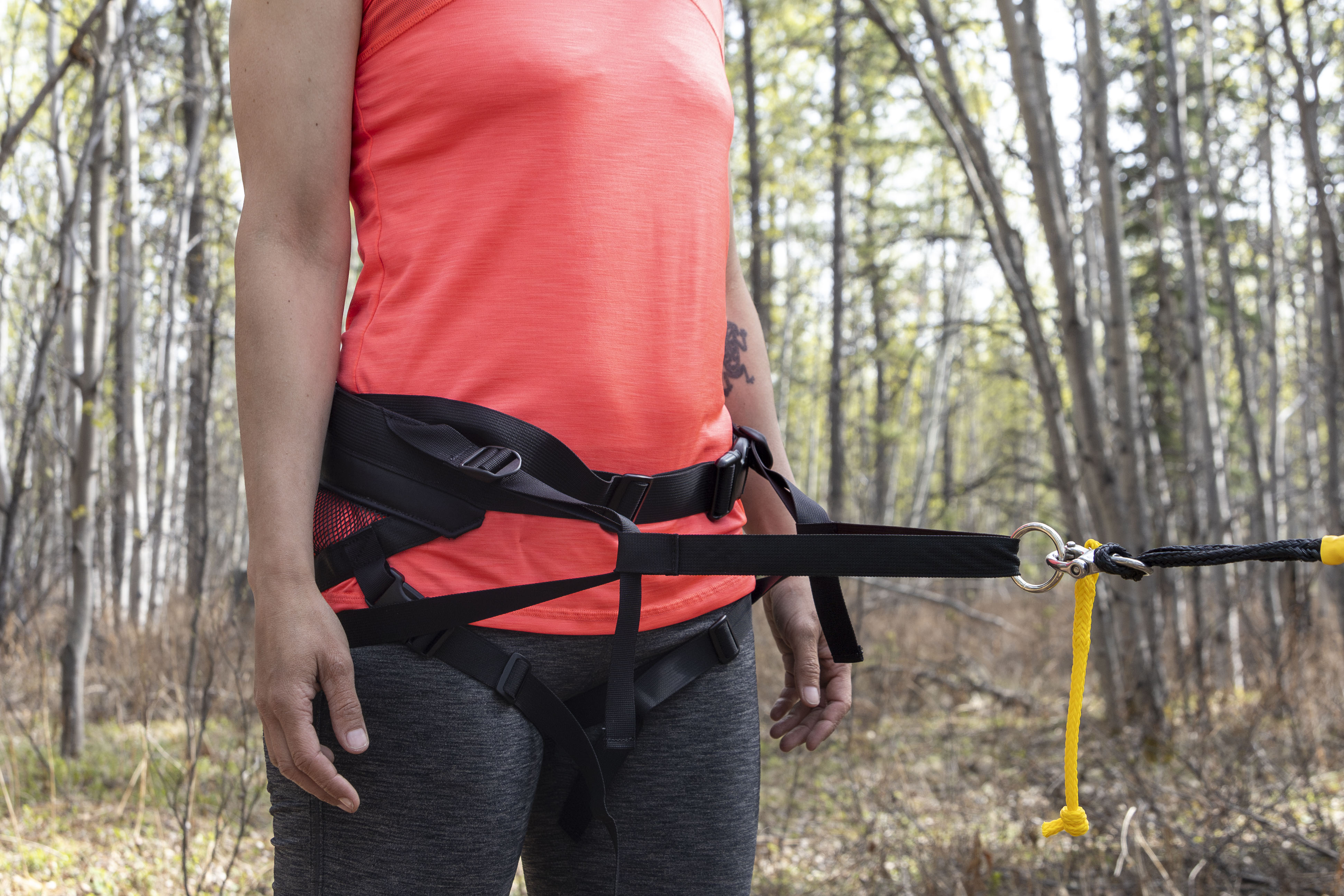 Raven Belt Package | Tanzilla Harness Supply *Due to the postal strike ...